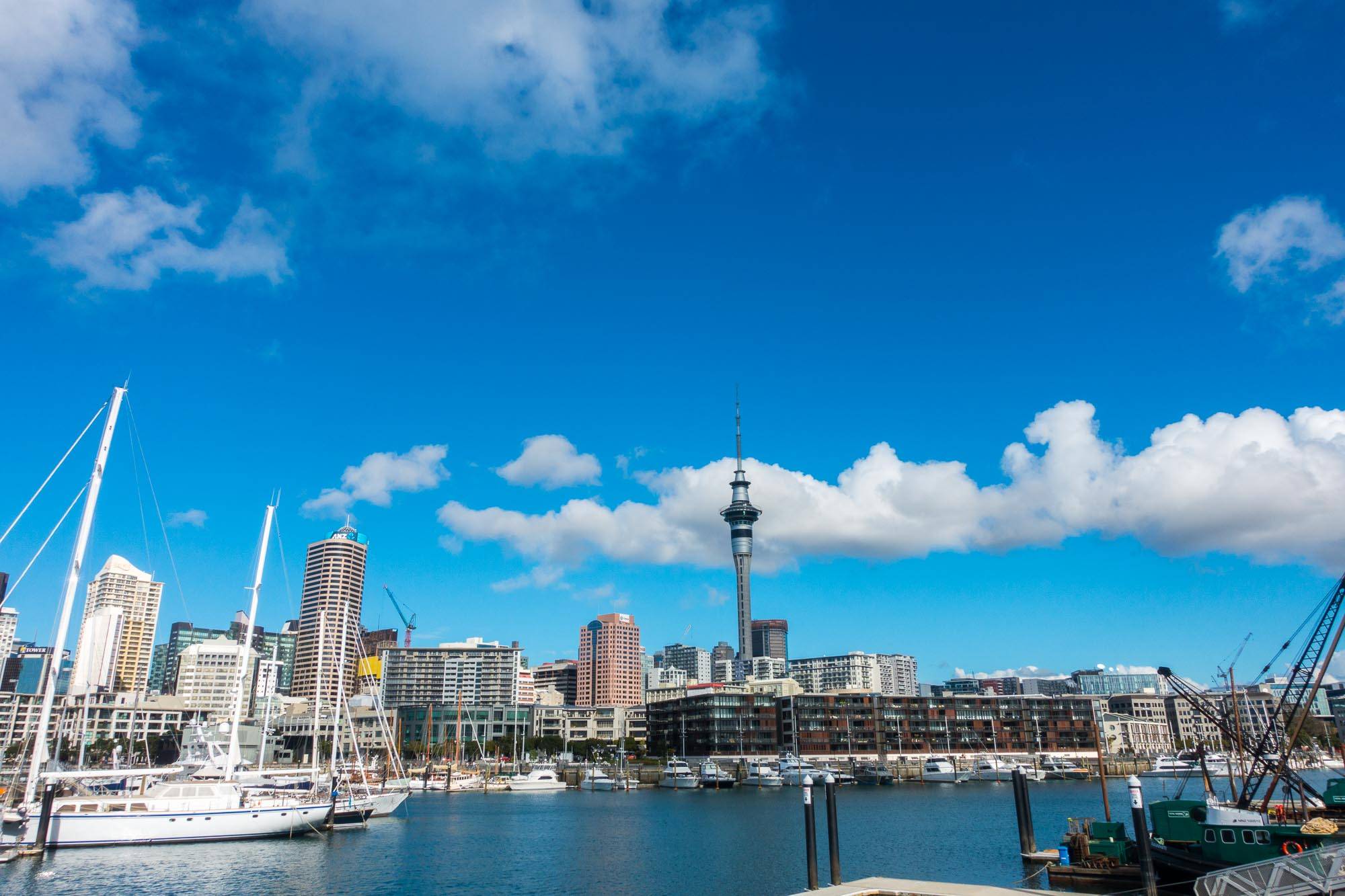 Top 5 Auckland Attractions - Backpacking Tips