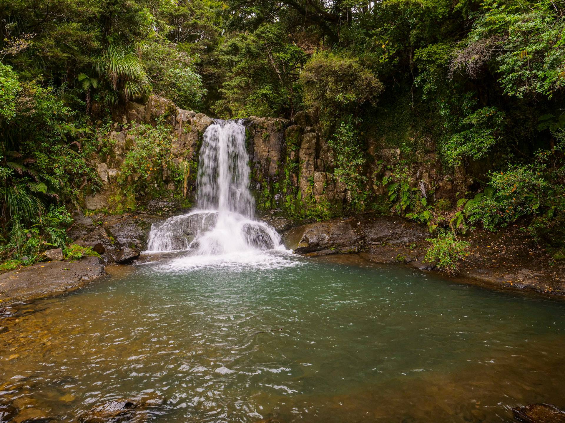 Our top 9 highlights in the Waikato, Coromandel and Taupo Region 2025